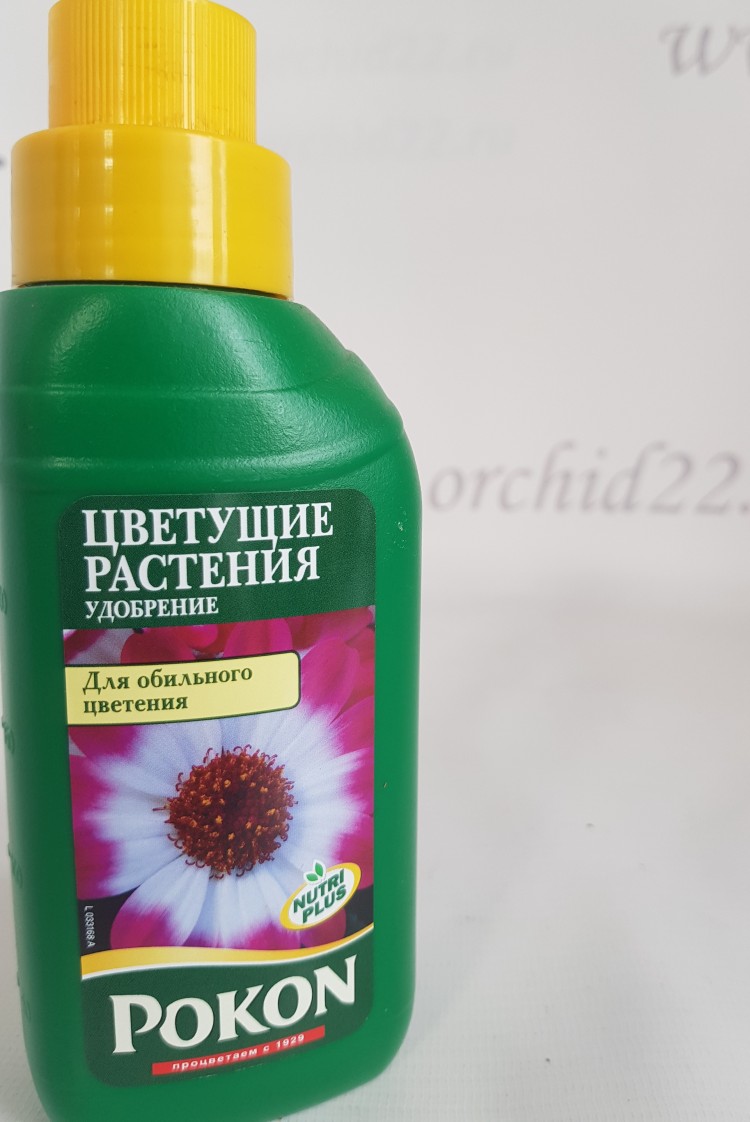 Pokon Удобрение для обильного цветения